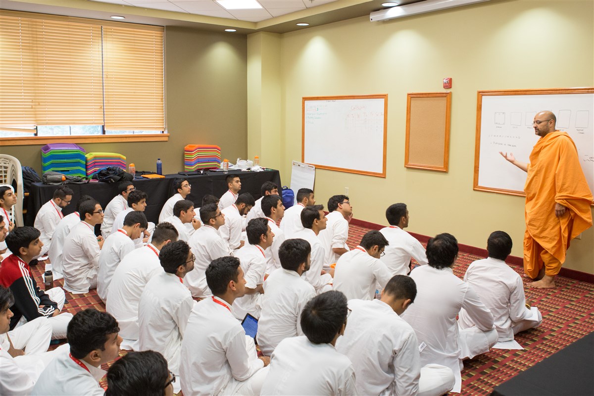 BAPS North American Activities Meeting, Atlanta, GA, USA