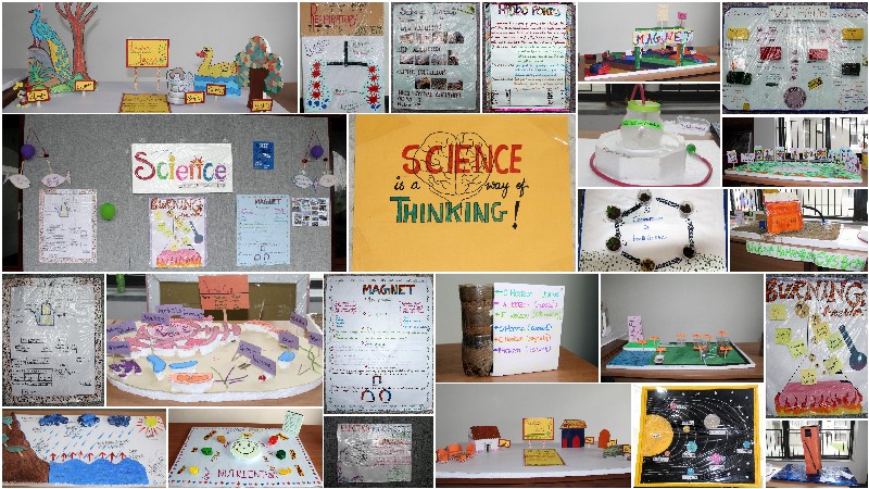 Science Fair - 2016