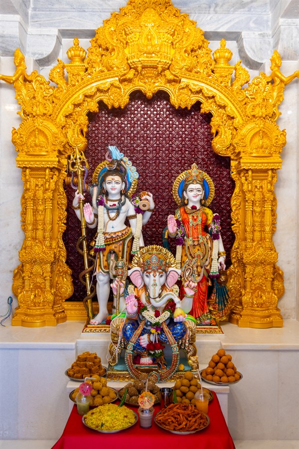 Murti-Pratishtha Mahotsav, BAPS Shri Swaminarayan Mandir, Jodhpur, India