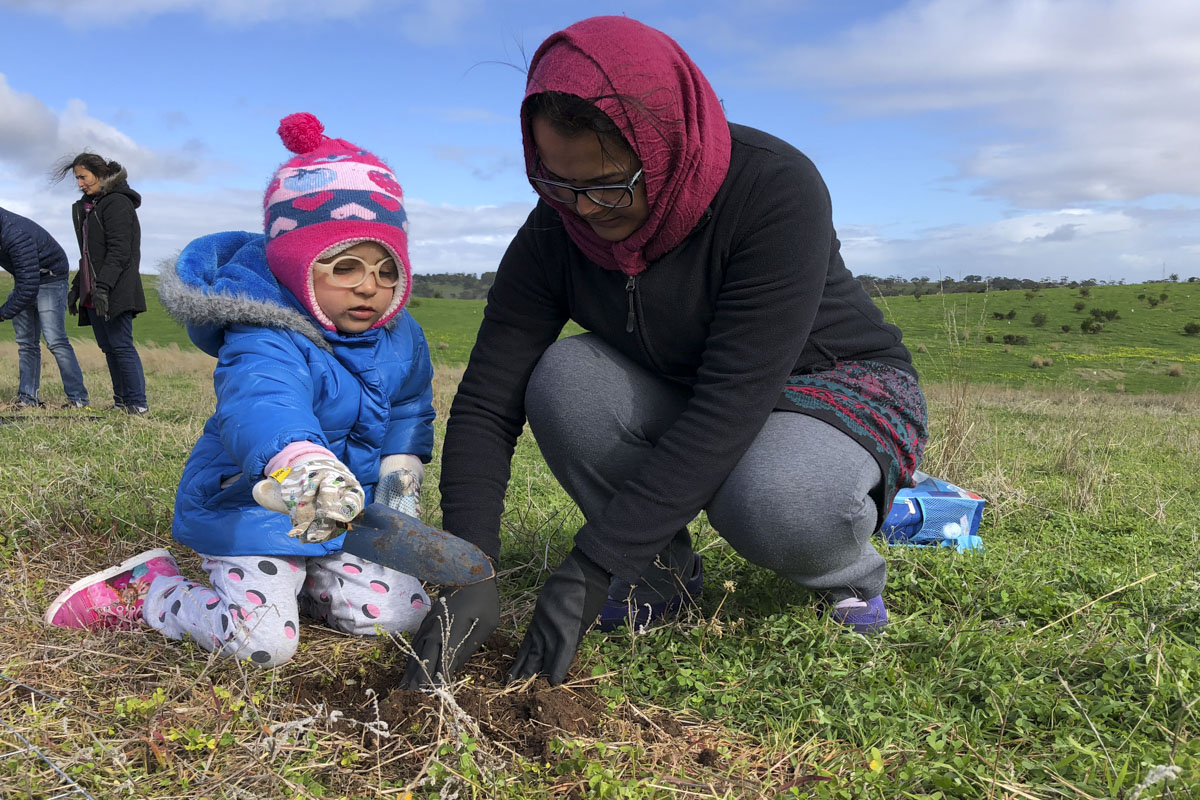 Tree Plantation Drive, Australia