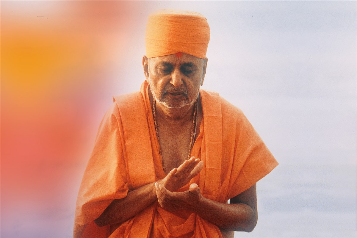 Pramukh Swami Maharaj's Birthday Celebration 2019, North America