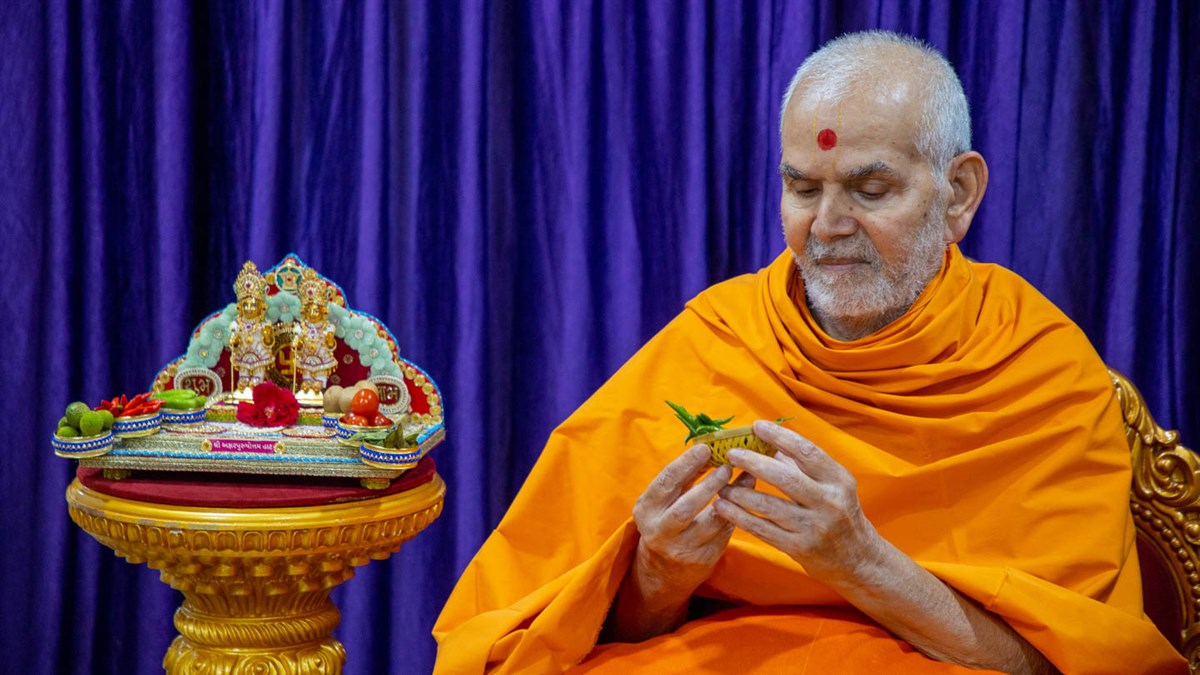 04 November 2022 - HH Mahant Swami Maharaj's Vicharan, Ahmedabad, India
