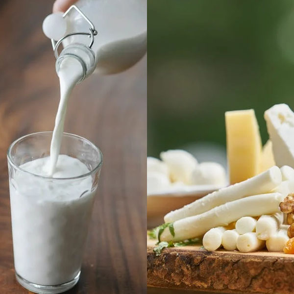 Dairy products are fattening and unhealthy, Atladara Hospital, India